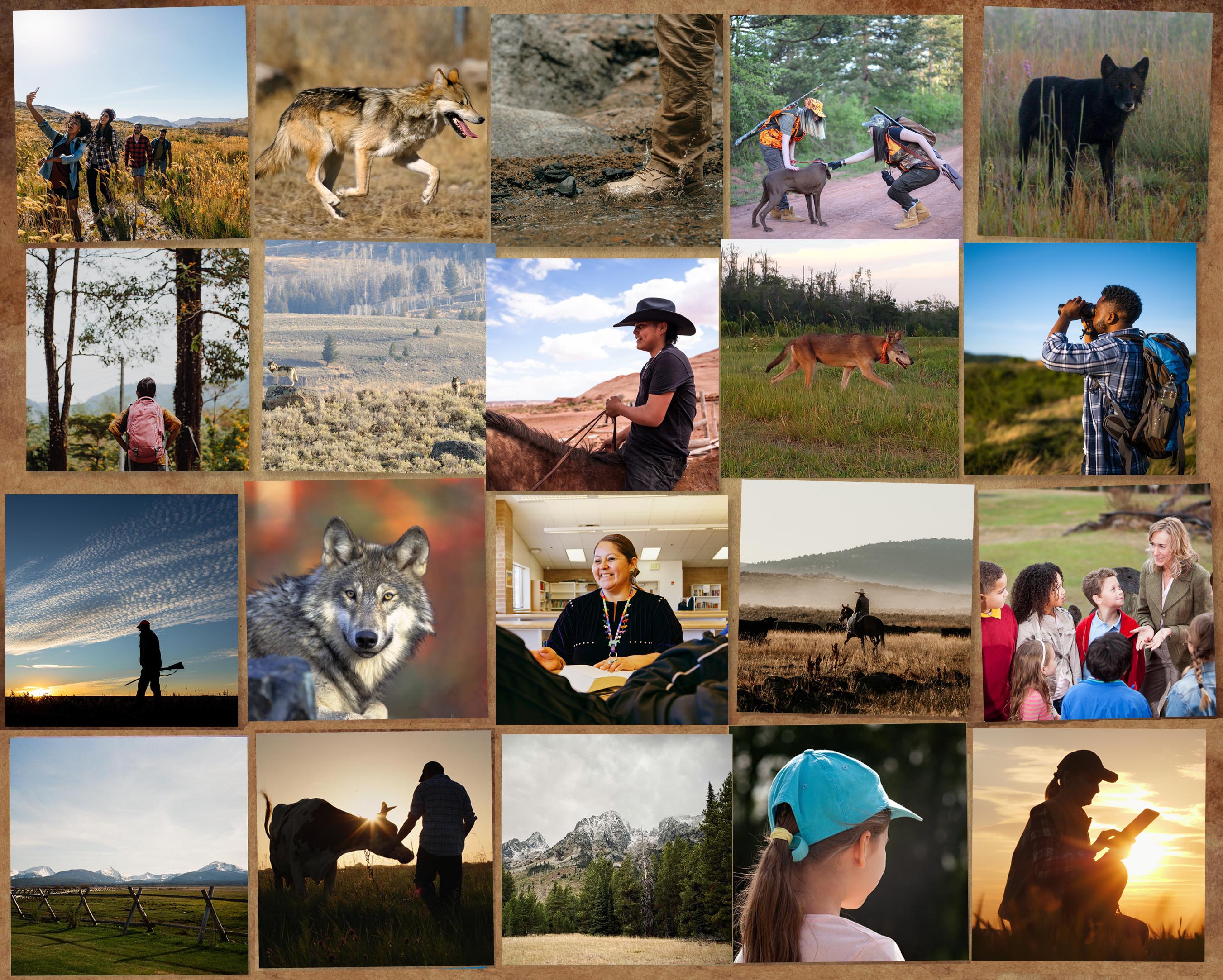 NWC_Hero_v2 | National Wolf Conversation